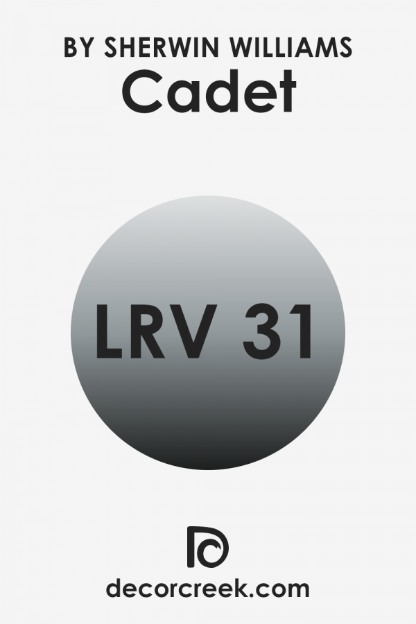 Cadet SW 9143 Paint Color by Sherwin Williams - DecorCreek