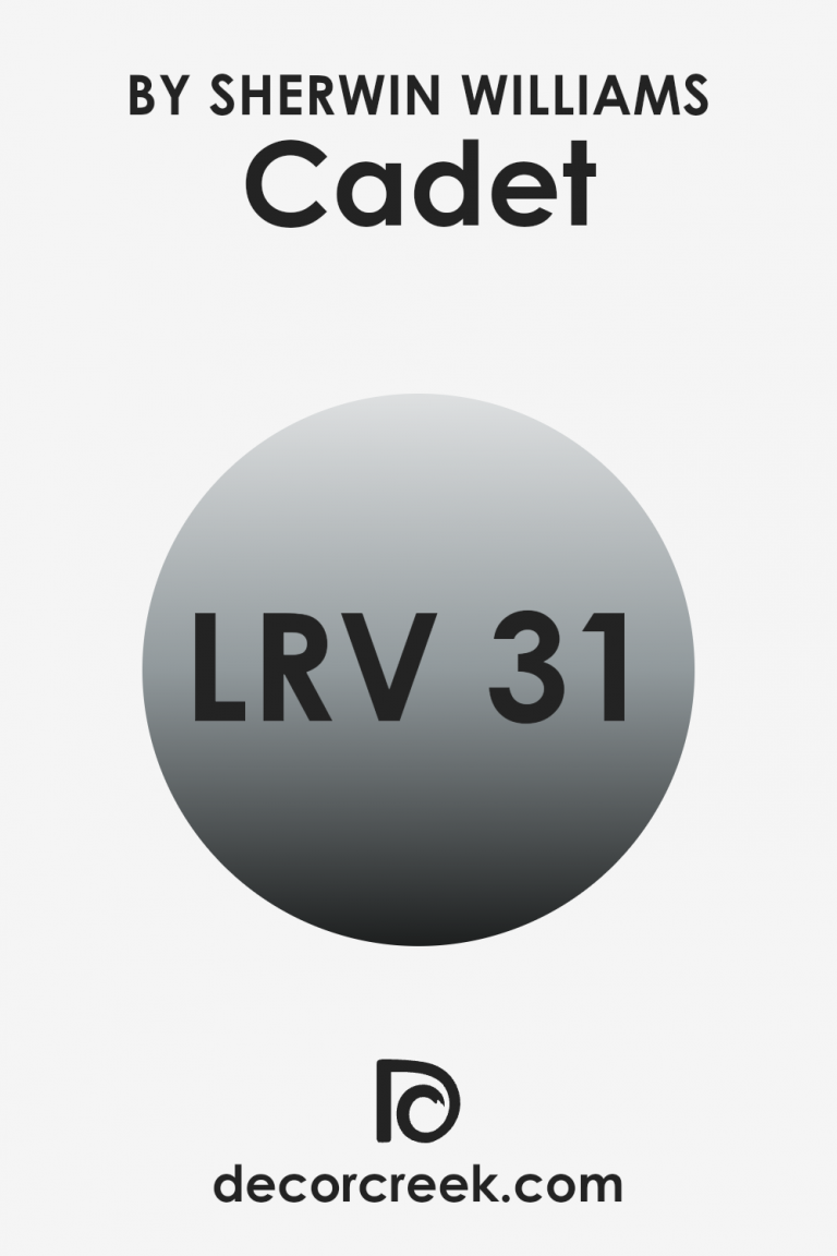 Cadet SW 9143 Paint Color by Sherwin Williams - DecorCreek