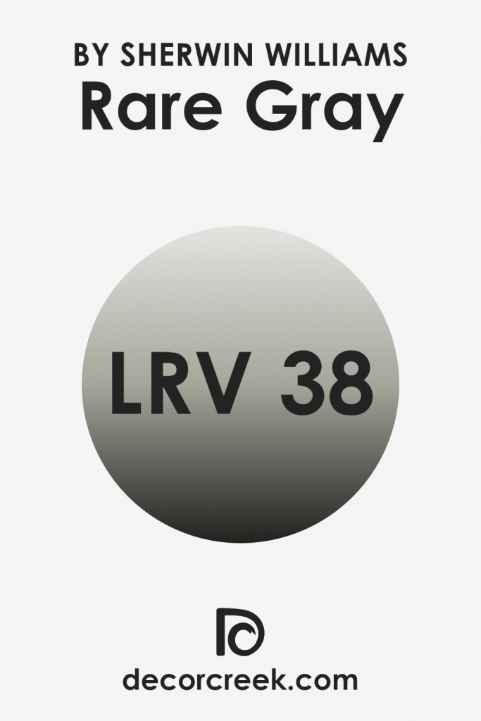 Rare Gray SW 6199 Paint Color by Sherwin Williams - DecorCreek