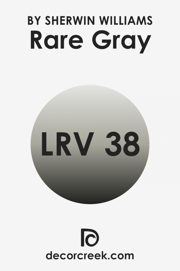 Rare Gray SW 6199 Paint Color by Sherwin Williams - DecorCreek
