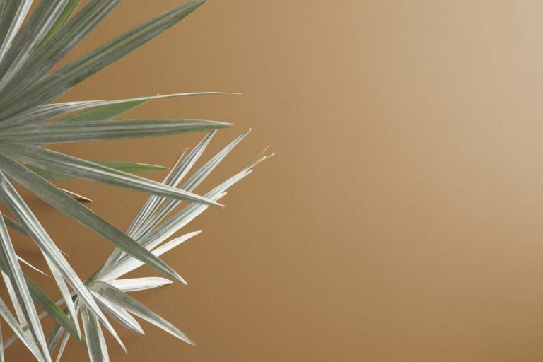 Gingersnaps 1063 Paint Color by Benjamin Moore - DecorCreek