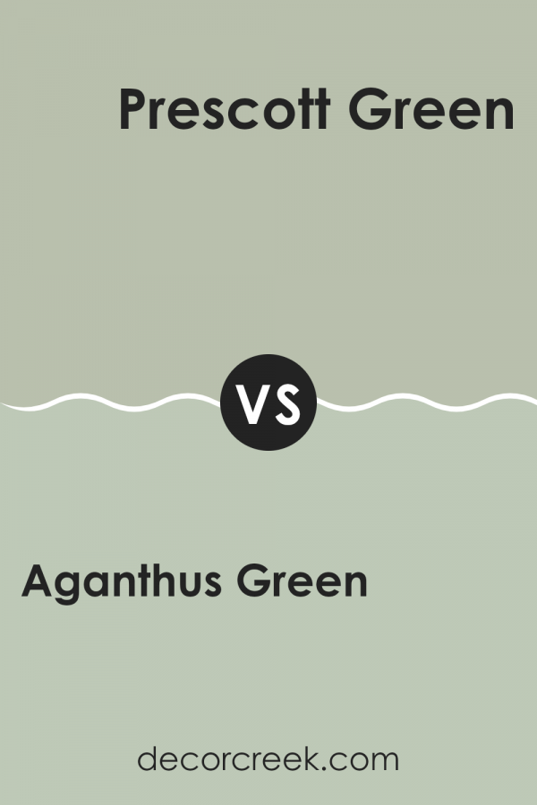 Aganthus Green 472 Paint Color by Benjamin Moore - DecorCreek