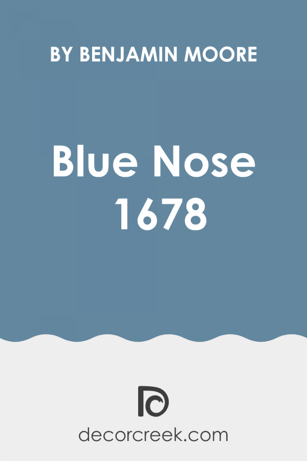 Blue Nose 1678 Paint Color by Benjamin Moore - DecorCreek