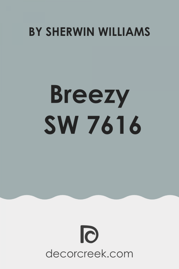 Breezy SW 7616 Paint Color by Sherwin Williams - DecorCreek