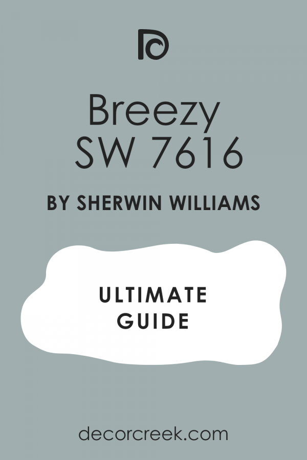 Breezy SW 7616 Paint Color by Sherwin Williams - DecorCreek