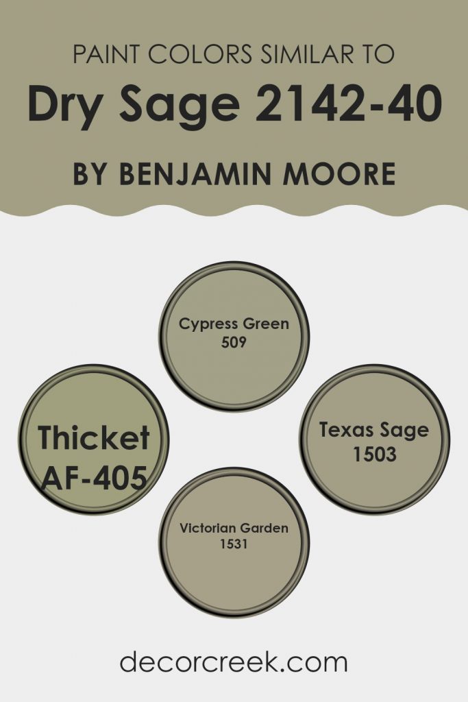 Dry Sage 2142-40 Paint Color by Benjamin Moore - DecorCreek