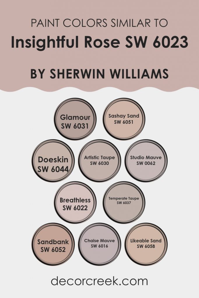 Insightful Rose SW 6023 Paint Color by Sherwin Williams - DecorCreek