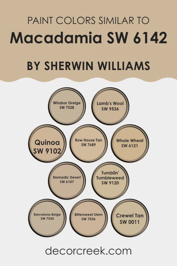 Macadamia SW 6142 Paint Color by Sherwin Williams - DecorCreek