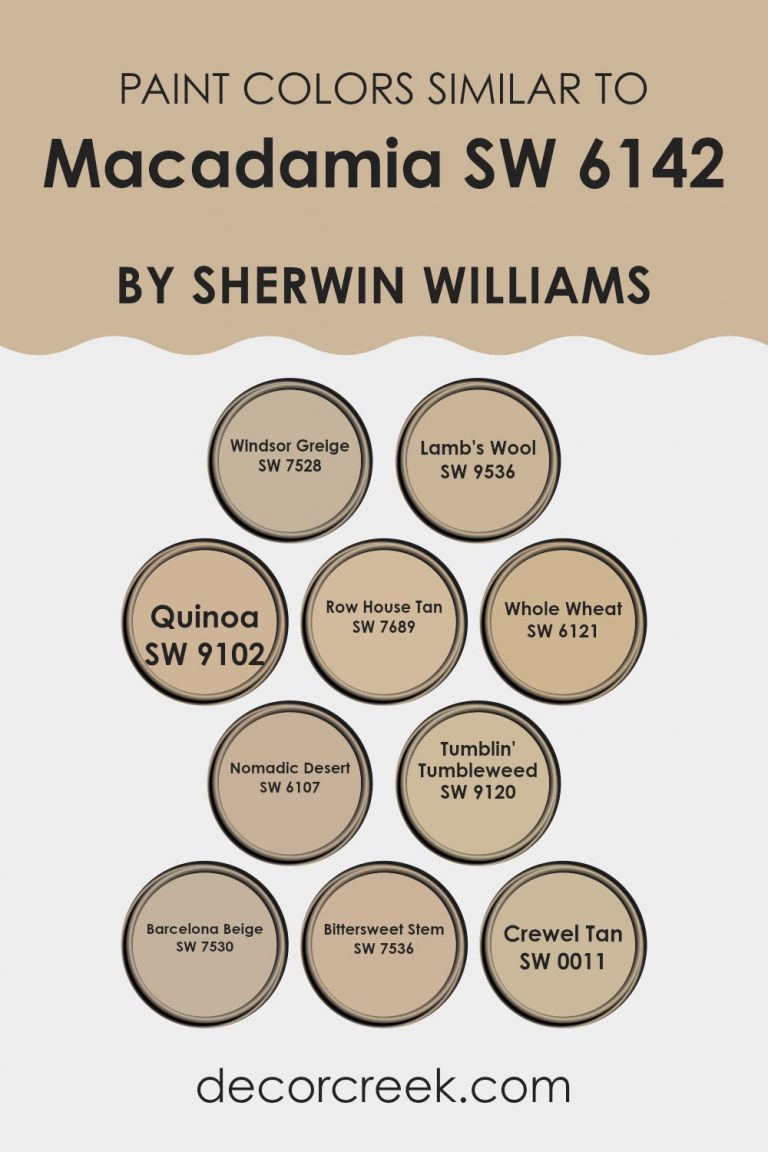 Macadamia SW 6142 Paint Color by Sherwin Williams - DecorCreek
