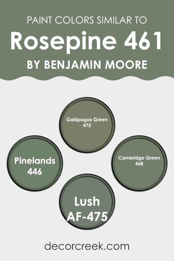 Rosepine 461 Paint Color by Benjamin Moore - DecorCreek