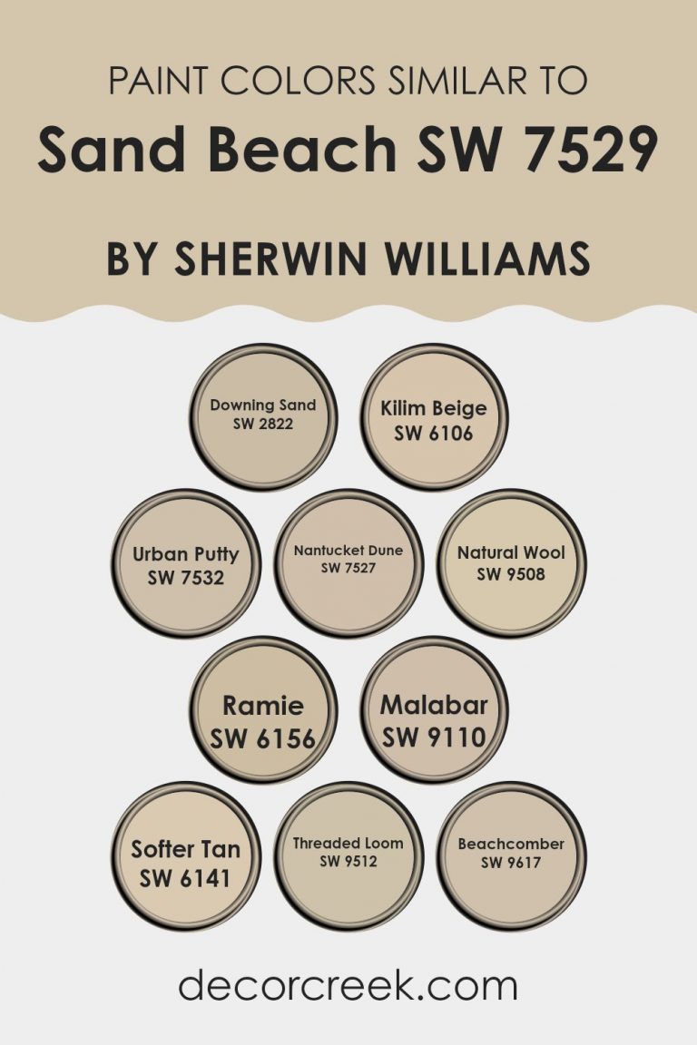 Sand Beach SW 7529 Paint Color by Sherwin Williams - DecorCreek