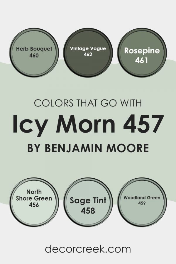 Icy Morn 457 Paint Color by Benjamin Moore - DecorCreek