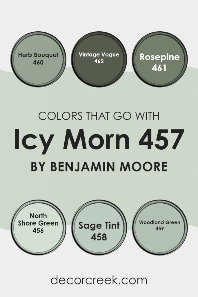 Icy Morn 457 Paint Color by Benjamin Moore - DecorCreek