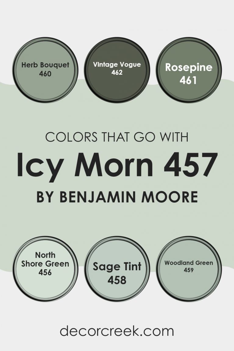 Icy Morn 457 Paint Color by Benjamin Moore - DecorCreek