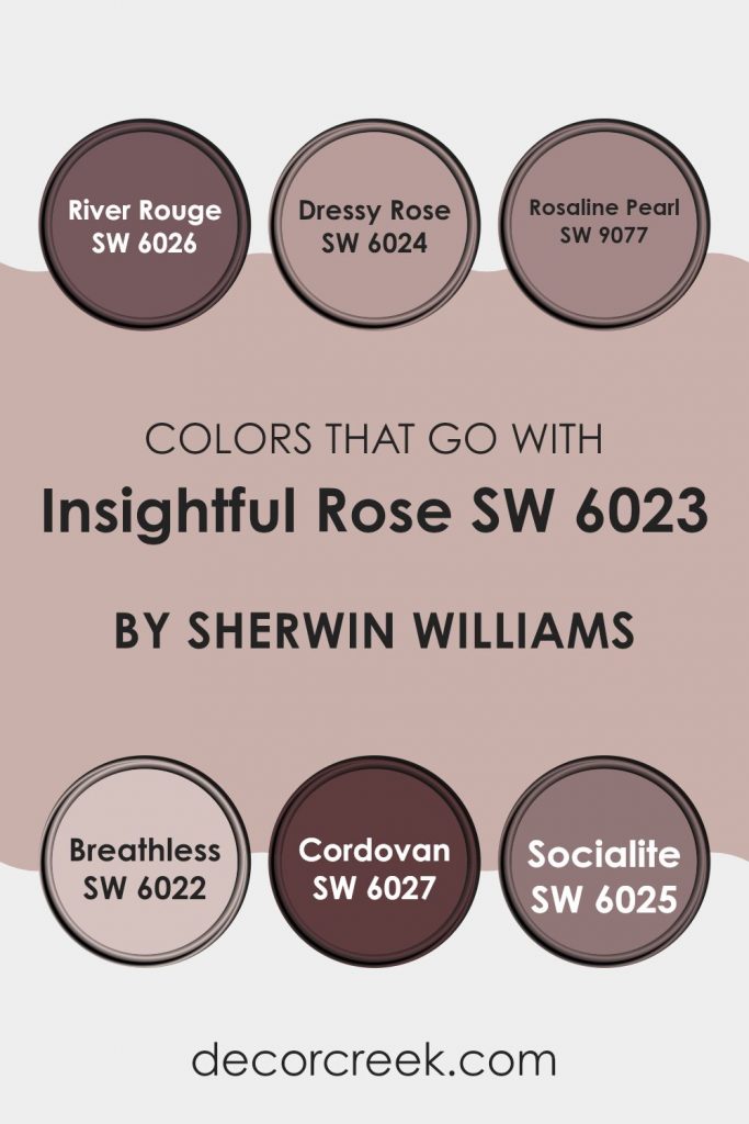 Insightful Rose SW 6023 Paint Color by Sherwin Williams - DecorCreek