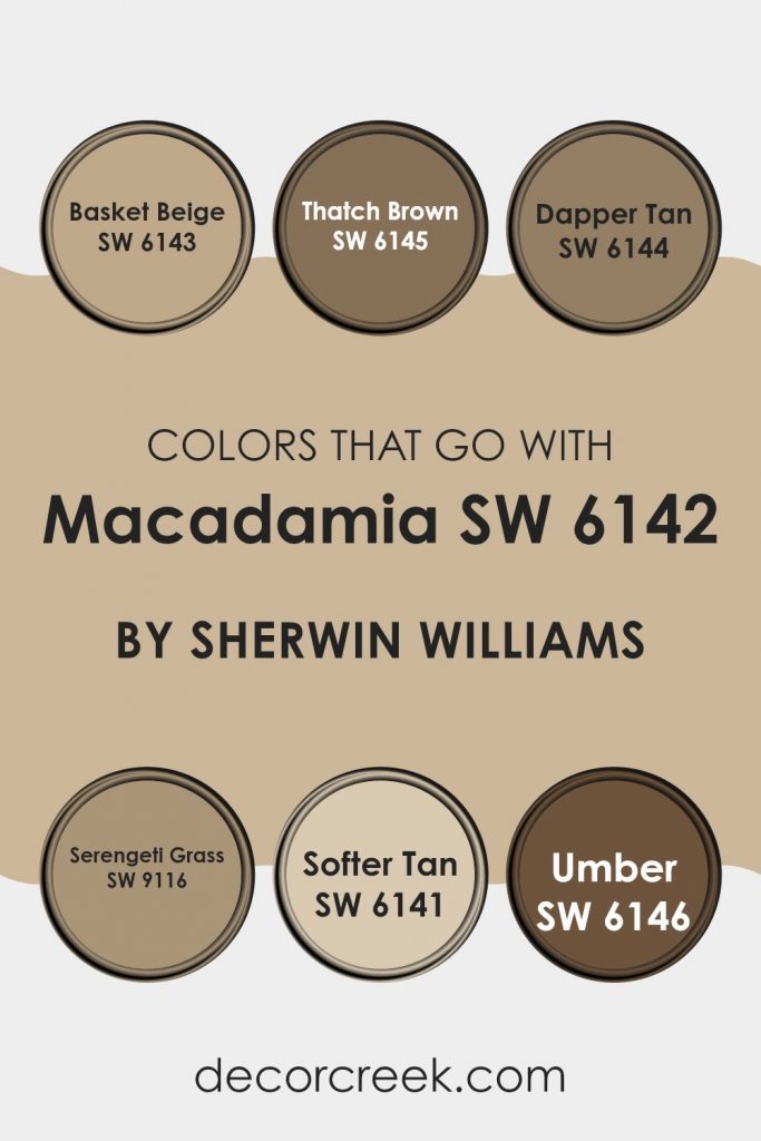Macadamia SW 6142 Paint Color by Sherwin Williams - DecorCreek
