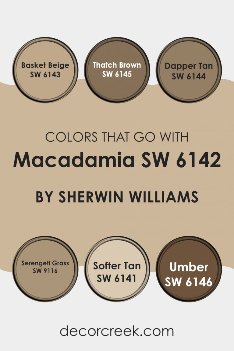 Macadamia SW 6142 Paint Color by Sherwin Williams - DecorCreek