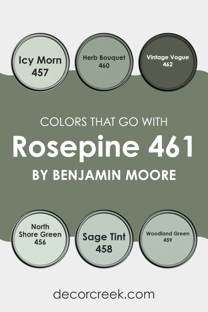 Rosepine 461 Paint Color by Benjamin Moore - DecorCreek