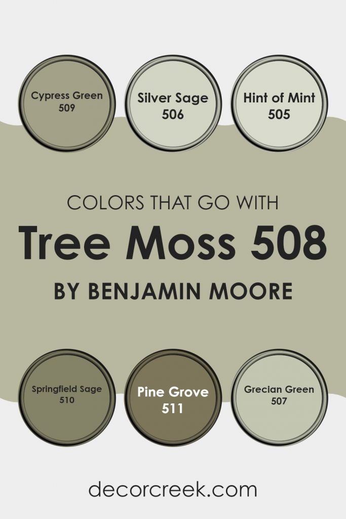 Tree Moss 508 Paint Color by Benjamin Moore - DecorCreek