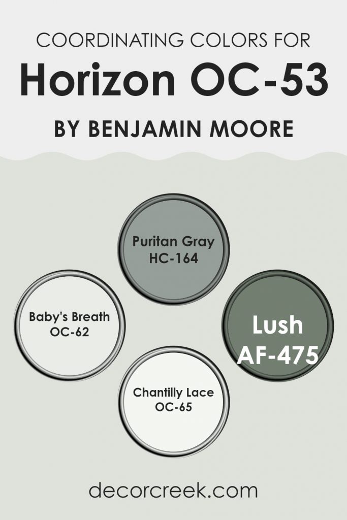 Horizon OC-53 Paint Color by Benjamin Moore - DecorCreek