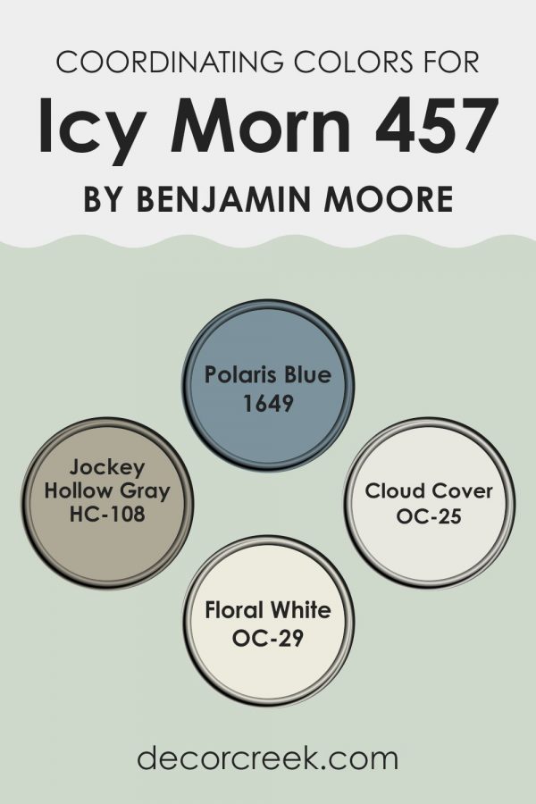 Icy Morn 457 Paint Color by Benjamin Moore - DecorCreek
