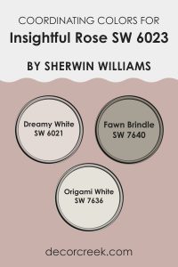 Insightful Rose SW 6023 Paint Color by Sherwin Williams - DecorCreek