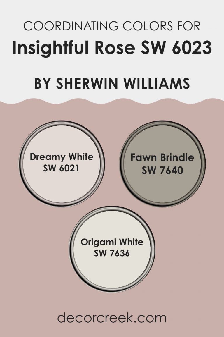 Insightful Rose SW 6023 Paint Color by Sherwin Williams - DecorCreek