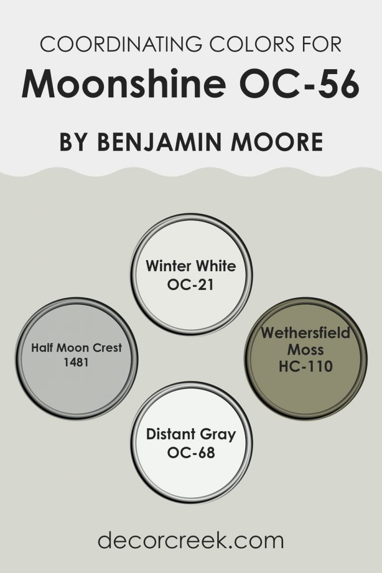 Moonshine OC-56 Paint Color by Benjamin Moore - DecorCreek