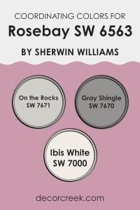 Rosebay SW 6563 Paint Color by Sherwin Williams - DecorCreek