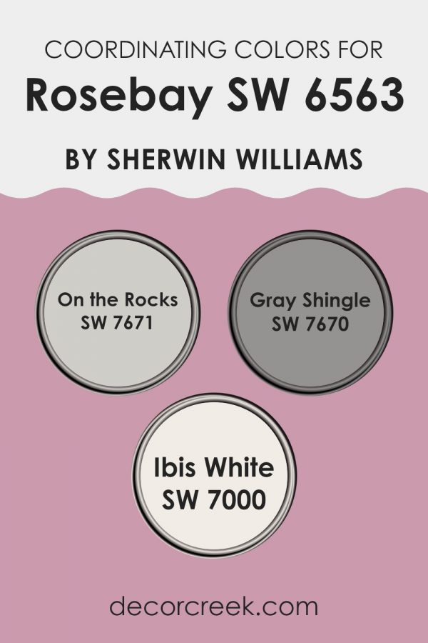 Rosebay SW 6563 Paint Color by Sherwin Williams - DecorCreek