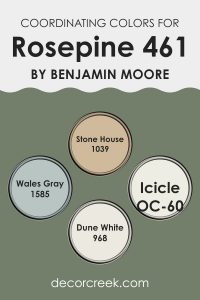 Rosepine 461 Paint Color by Benjamin Moore - DecorCreek