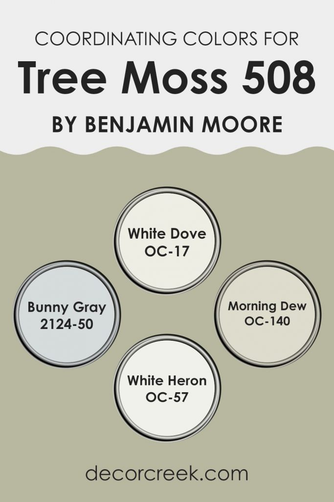 Tree Moss 508 Paint Color by Benjamin Moore - DecorCreek