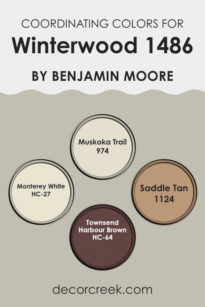 Winterwood 1486 Paint Color by Benjamin Moore - DecorCreek