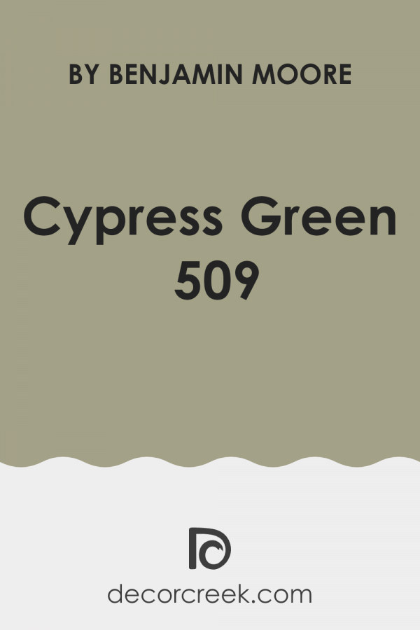 Cypress Green 509 Paint Color by Benjamin Moore - DecorCreek