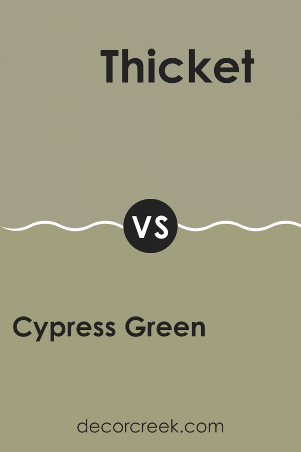 Cypress Green 509 Paint Color by Benjamin Moore - DecorCreek