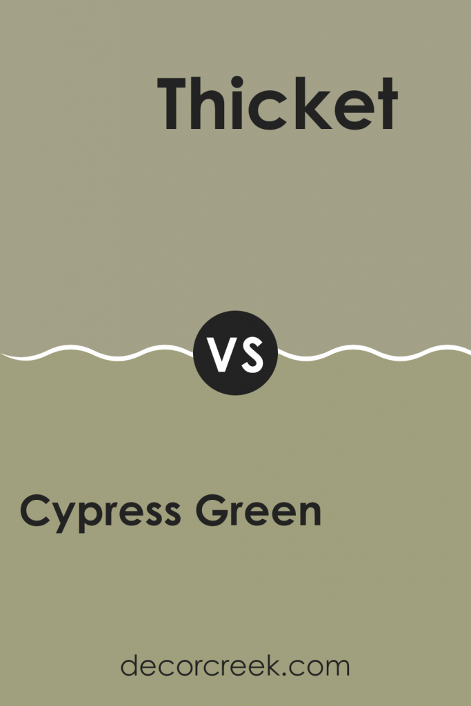 Cypress Green 509 Paint Color by Benjamin Moore - DecorCreek