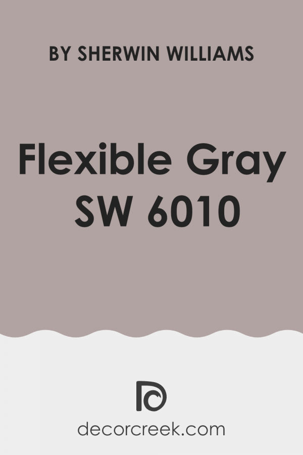 Flexible Gray SW 6010 Paint Color by Sherwin Williams - DecorCreek