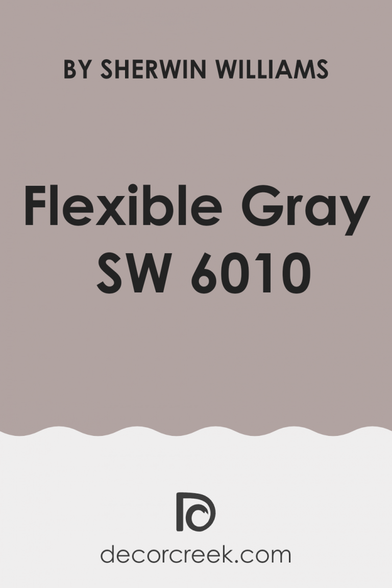 Flexible Gray SW 6010 Paint Color by Sherwin Williams - DecorCreek
