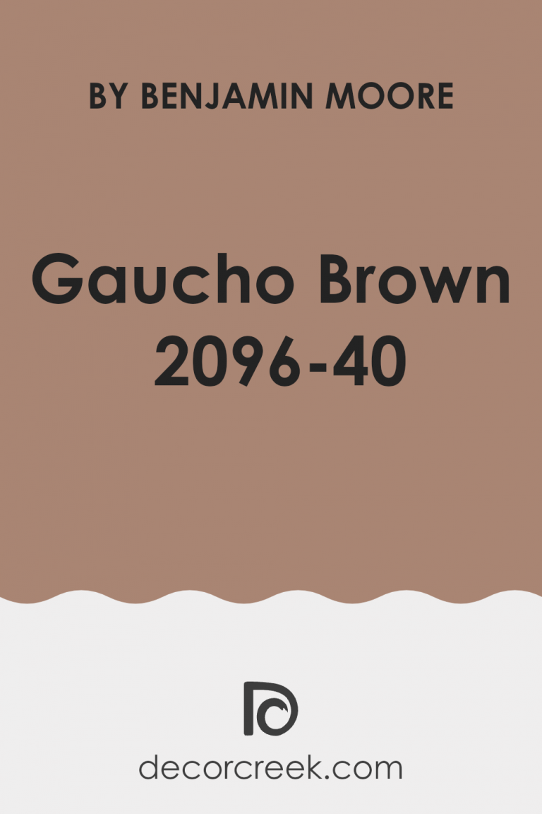 Gaucho Brown 2096-40 Paint Color by Benjamin Moore - DecorCreek