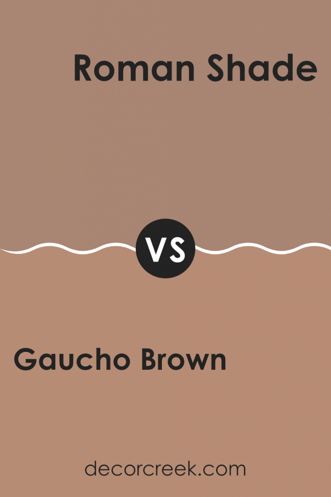 Gaucho Brown 2096-40 Paint Color by Benjamin Moore - DecorCreek