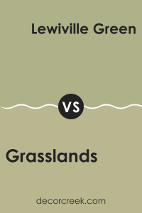 Grasslands 502 Paint Color by Benjamin Moore - DecorCreek