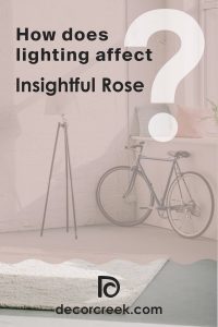 Insightful Rose SW 6023 Paint Color by Sherwin Williams - DecorCreek