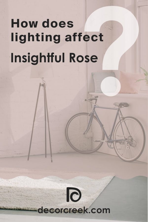 Insightful Rose SW 6023 Paint Color by Sherwin Williams - DecorCreek