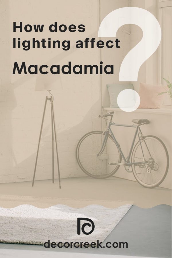Macadamia SW 6142 Paint Color by Sherwin Williams - DecorCreek