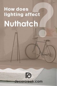 Nuthatch SW 6088 Paint Color by Sherwin Williams - DecorCreek