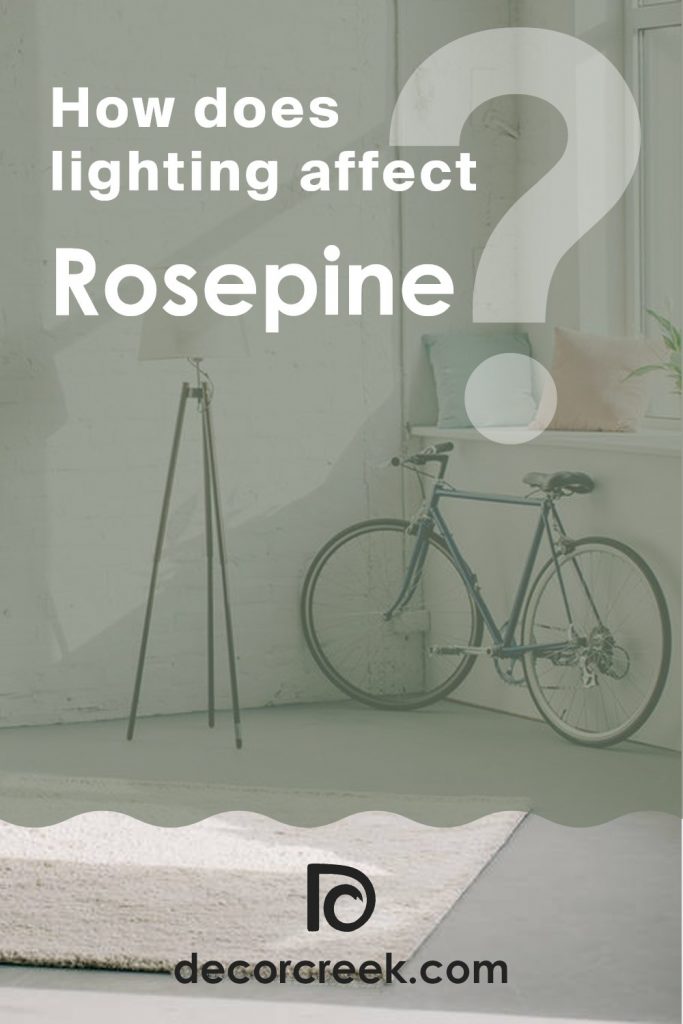Rosepine 461 Paint Color by Benjamin Moore - DecorCreek