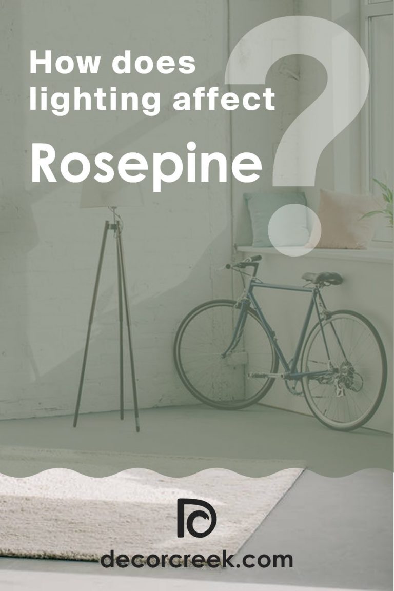 Rosepine 461 Paint Color by Benjamin Moore - DecorCreek