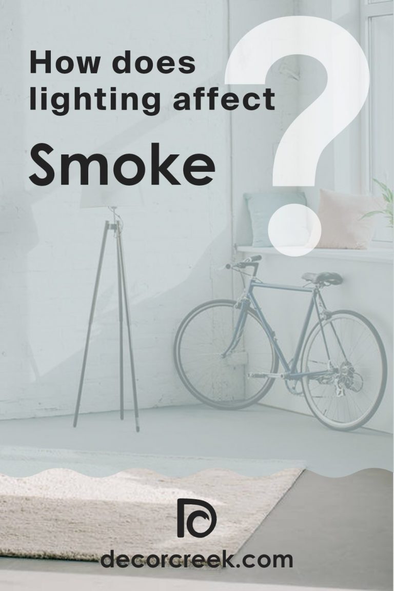 Smoke 2122-40 Paint Color by Benjamin Moore - DecorCreek