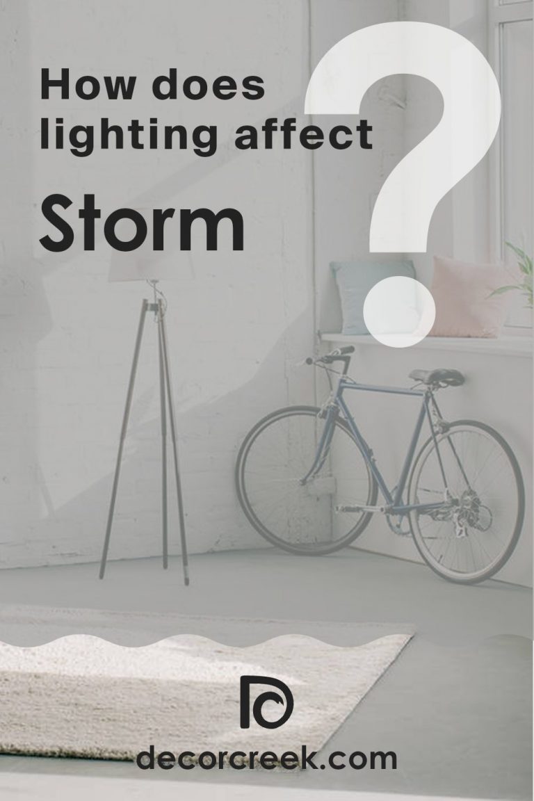 Storm AF-700 Paint Color by Benjamin Moore - DecorCreek