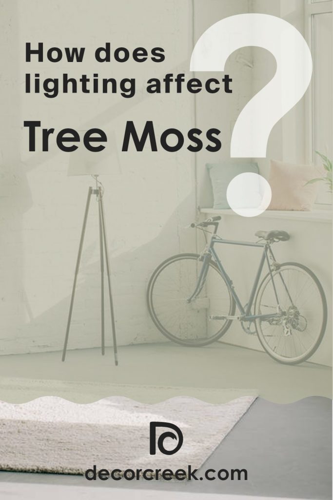 Tree Moss 508 Paint Color by Benjamin Moore - DecorCreek